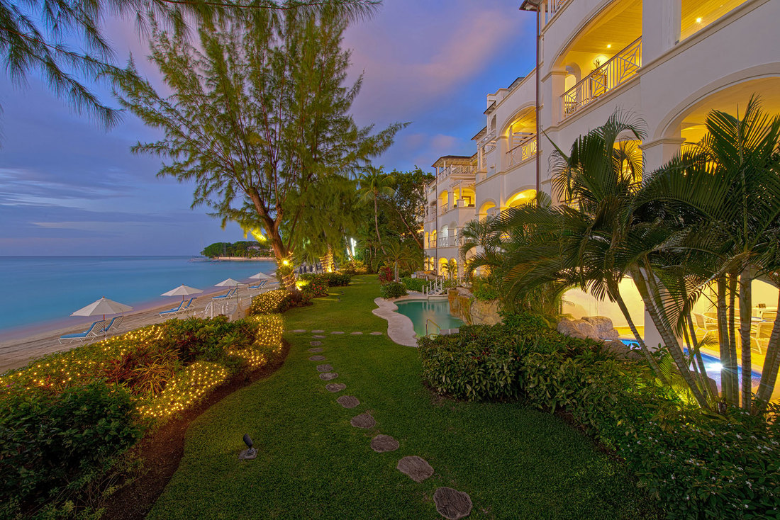 old-trees-barbados – West Coast Barbados